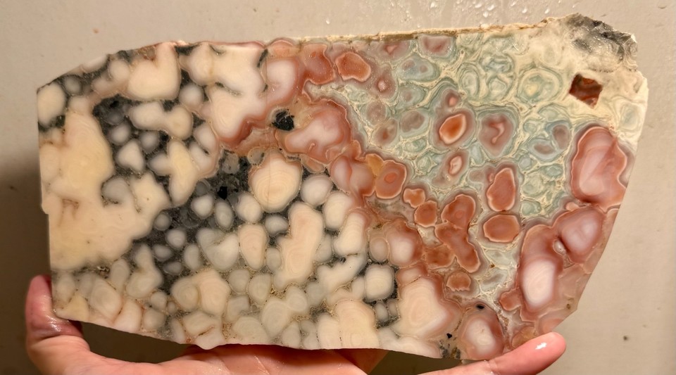 Large Windy Mountain Jasper Rough Slab! NV | eBay