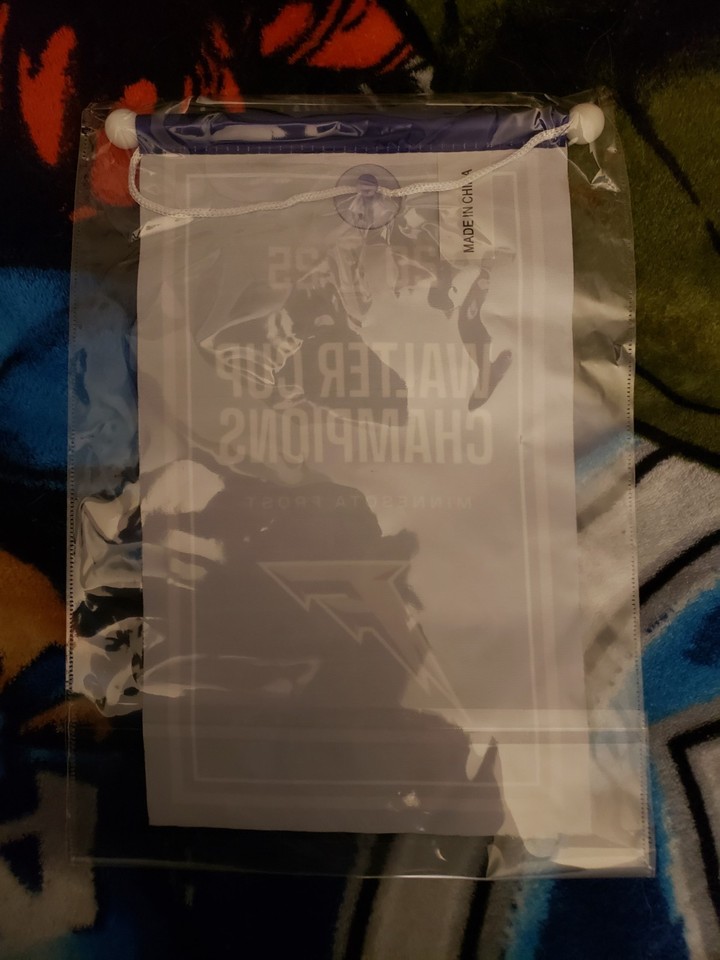 Minnesota Frost 2025 Walter Cup Champions Mini Banner. Collectible Game ...