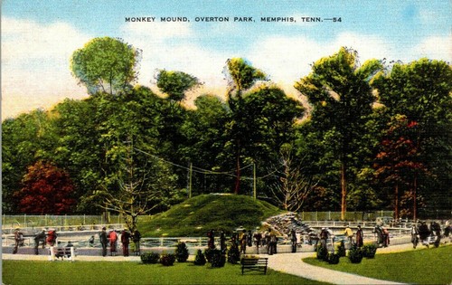 Postcard Monkey Mound Overton Park Memphis Tenn | eBay