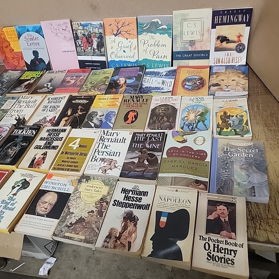 Lot of 45 Classic Paperback Literature Book Penguin Orwell Dickens ...