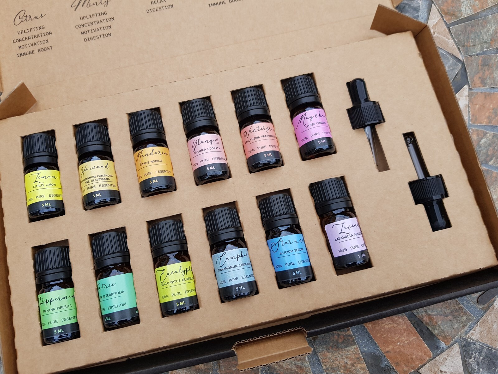 Aromatherapy essential oil set Starter pack gift kit 12 x 5ml bottles ...