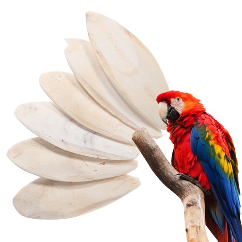 6 Pcs Birds Cuttlebone Toys of Travel Natural for Parrot Chew | eBay