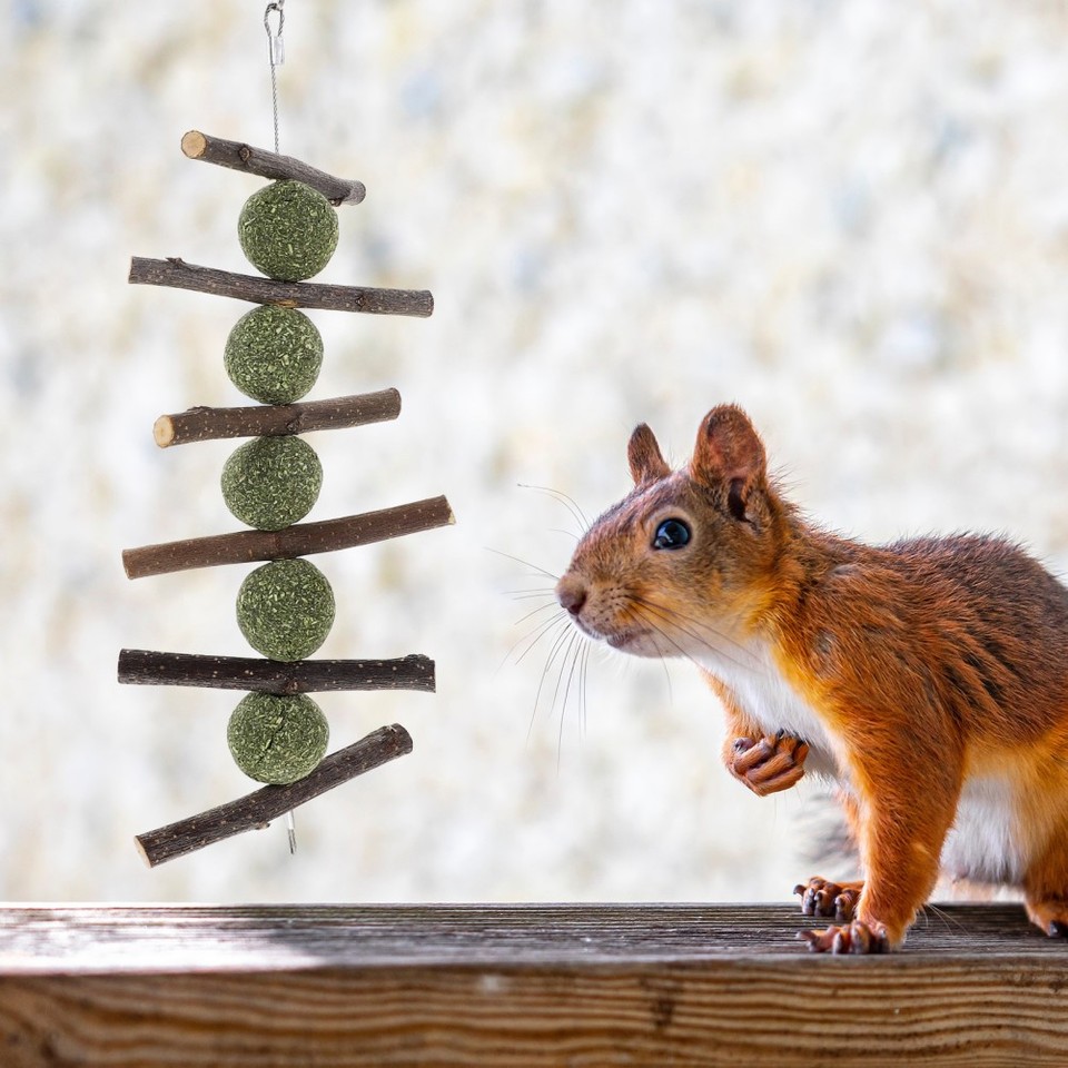 16 Pcs Wooden Chew Toys for Guinea Pig Hamster Rat Gerbil Mice Small ...