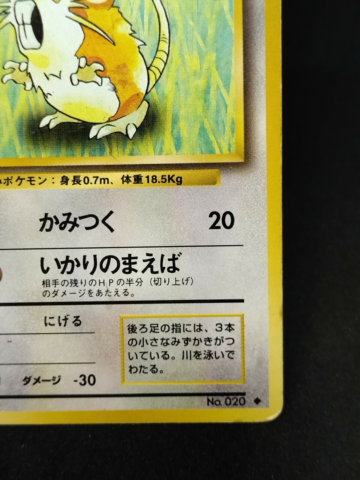Raticate Pokemon Card No.020 Rare 1996 1st Edition Japan Japanese ...