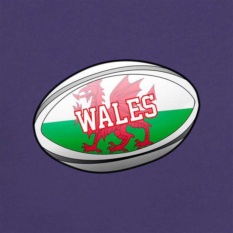 Welsh Flag Rugby Ball - Unisex Adult Apron - Wales Dragons League Union ...
