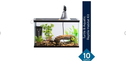 10-Gallon Turtle Frog Newts & Aquatic Reptile Habitat Starter Kit | eBay