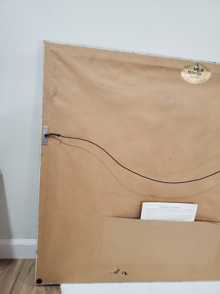 Thomas Kinkade Victorian Garden II 932/3850 S/N Paper COA Lightpost ...