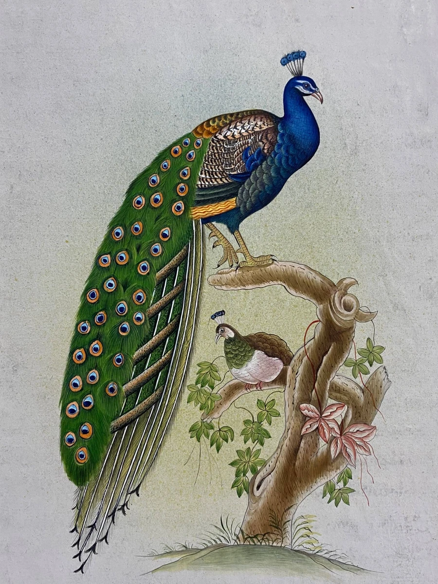 Indian Peacock Art