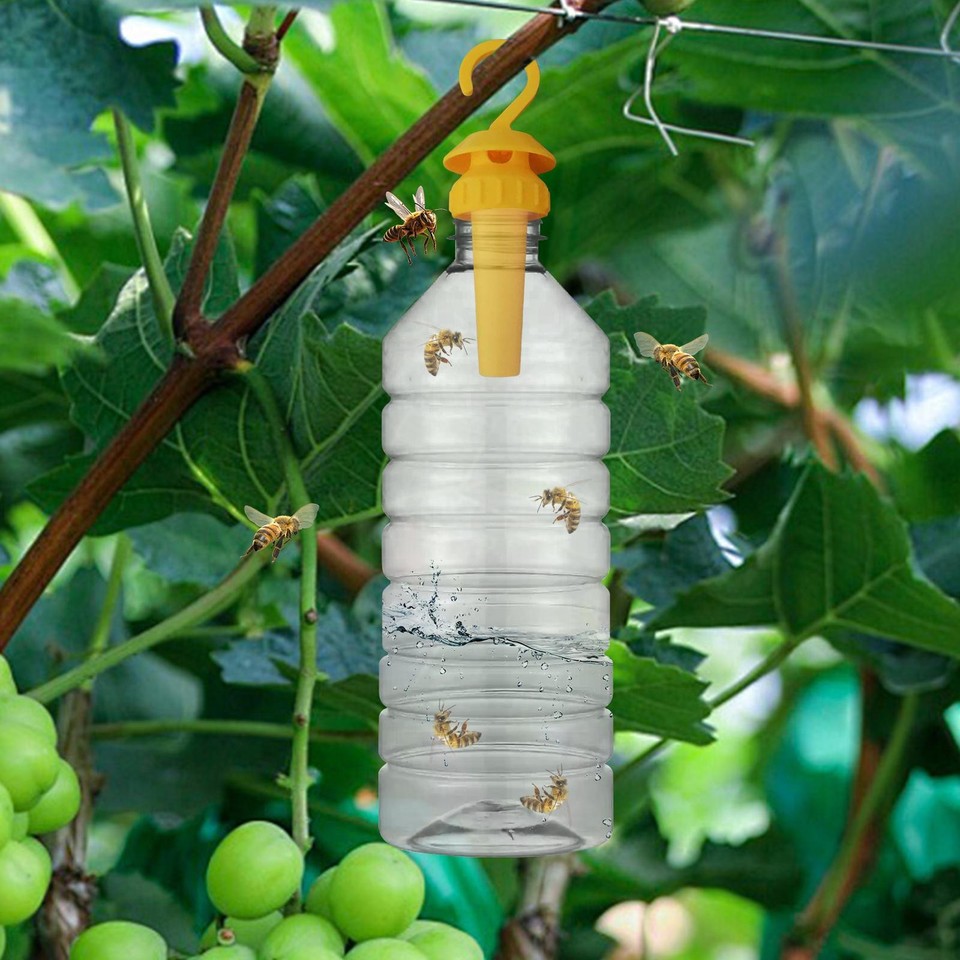 Wasp Trap Fly Trap Funnel Reusable Hornet Bee Control Hangable Catcher ...
