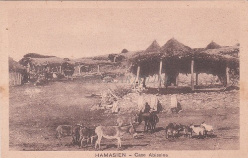 ERITREA - Hamasien - Case Abissine | eBay