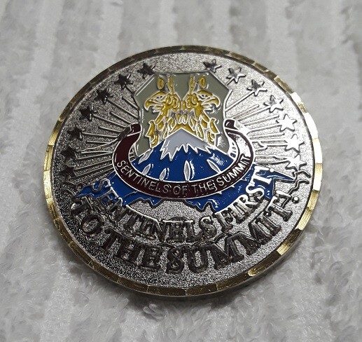 AUTHENTIC 10th MTN MI TASK FORCE GRIFFIN BOSNIA SFOR OLD and RARE ...