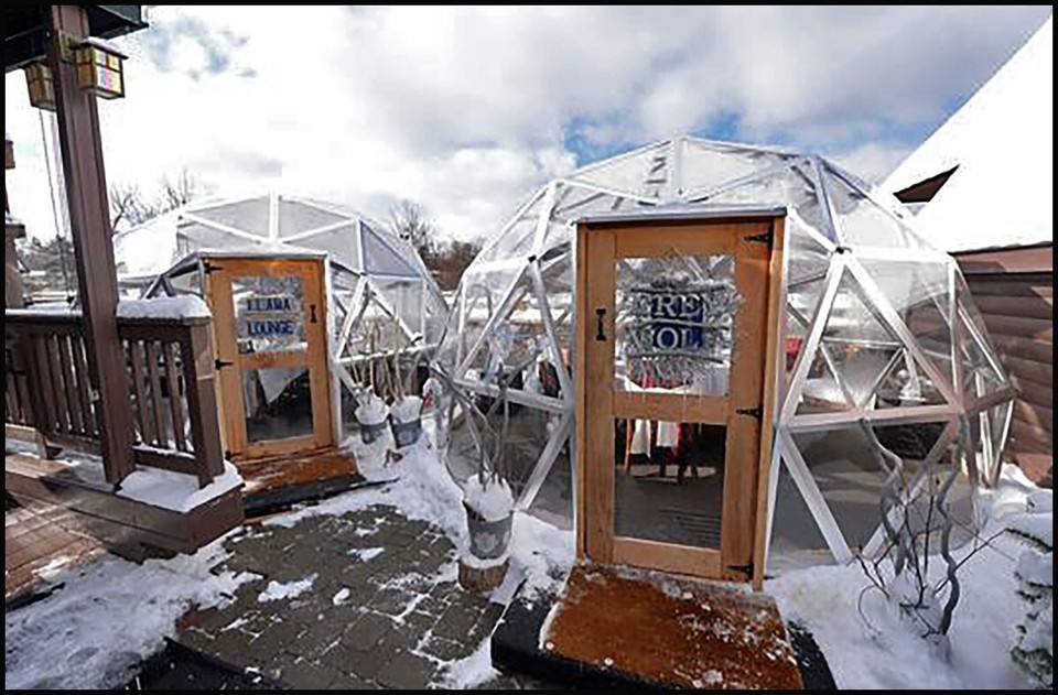 Geodesic RESTAURANT DOME 14 ft. includes: PRE-CUT POLYCARBONATE CLEAR ...