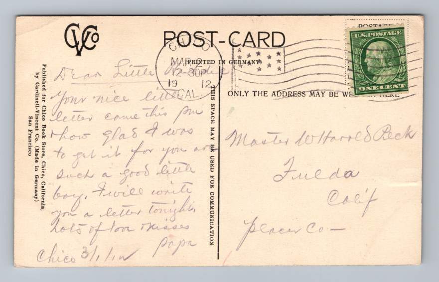 City Park CHICO California Antique Hand Colored Collotype Postcard 1912 ...