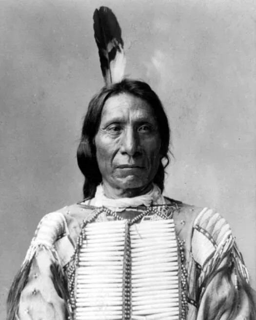 Native American Indians Chief Red Cloud Lakota Sioux Poster 8x10 ...