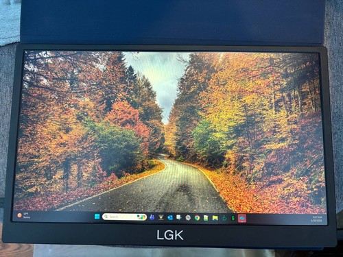 LGK 15.6'' Portable Monitor FHD 1080P USB-C HDR IPS HDMI Laptop ...