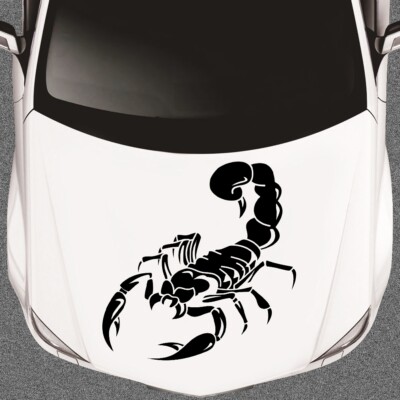 Black Scorpion Shape Sticker for Car/Trunk Decal Hood Stickers Vehicle ...