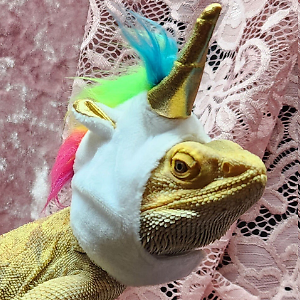 Bee Pudding's Fantastic Finds | eBay Stores