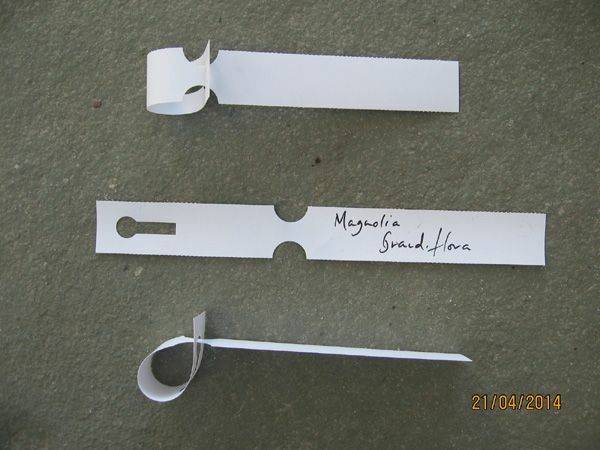 Loop Lock Plant Labels - Qty: 100 - 22cm Long | eBay UK