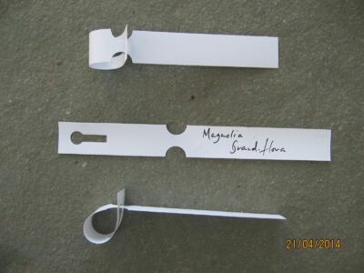 Loop Lock Plant Labels - Qty: 100 - 22cm Long | eBay UK