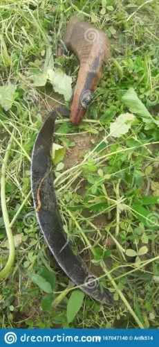 Long Garden Sickle Weed Nettle Bramble Serrated Grass Bush Cutter ...