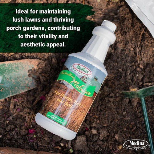 Medina Medium Molasses, 1 quart | eBay