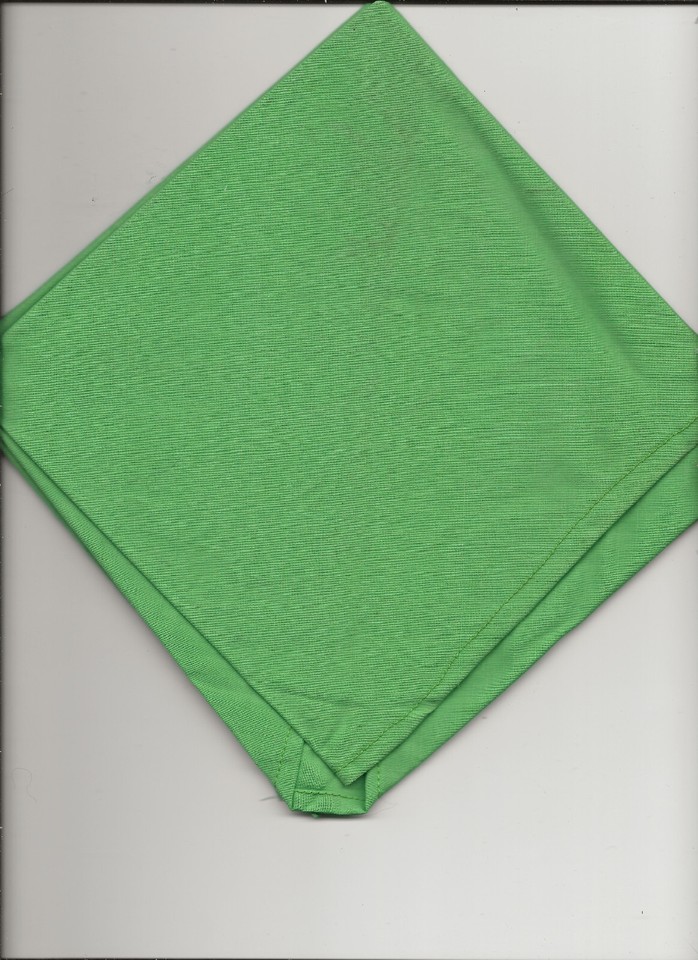 NECKERCHIEF with STAFF Patch * DANIEL WEBSTER COUNCIL Rockhill Boy ...