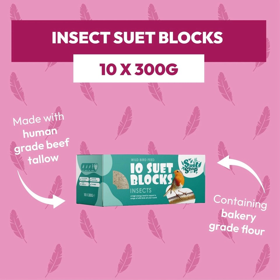 Suet Shop - Insect Suet Blocks for Wild Birds, 300g (Pack of 10 ...