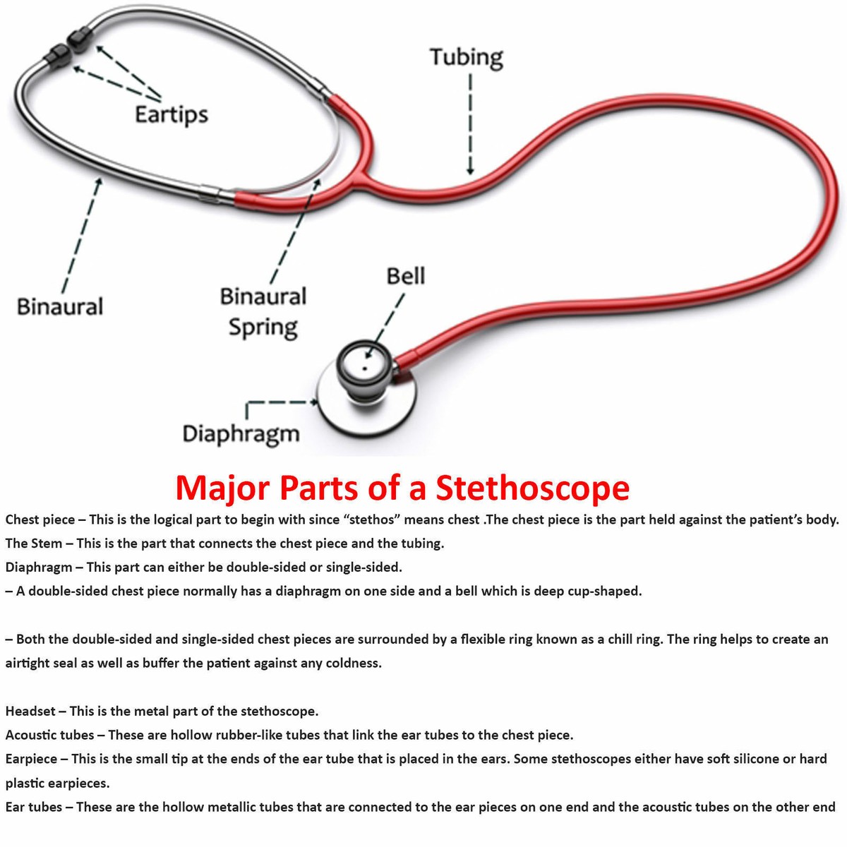 Stethoscope Diagram