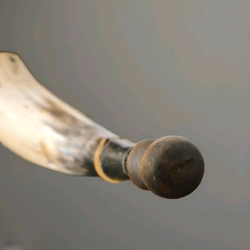 Handmade American Black Powder Horn Large Horn Muzzleloader | eBay