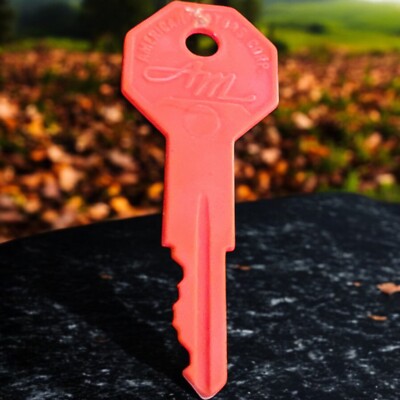 Vintage American Motors AMC Plastic Key Red Automobile Advertising | eBay