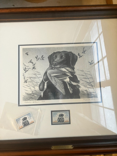 RW26 1959 - Federal Duck Stamp Print **MAYNARD REECE** 1st Edition w/ 2 ...