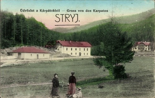 Postcard Stryj Stryi Ukraine, greeting from the Carpathians, panorama ...