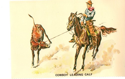Cowboy Leading Calf Art, Reproduction Postcard | eBay