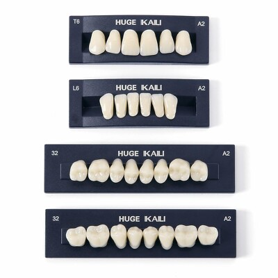 JMU Dental Acrylic Resin Denture Teeth A2 T6 Full Set False Teeth Upper ...