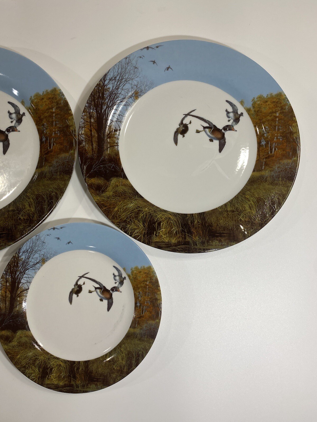 Rare Ducks Unlimited Dinner Set of 5, Dishes, Dish Set, Collection ...