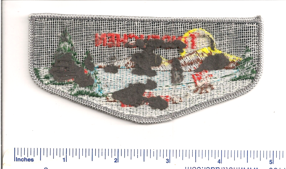 TINDEUCHEN LODGE 522 F1 FIRST FLAP FF OA BSA | eBay