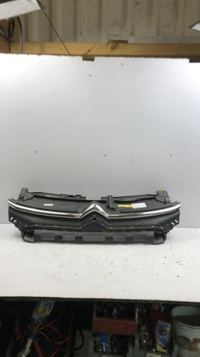 Calandra CITROEN C3 3 PHASE 2 16737352XT | eBay