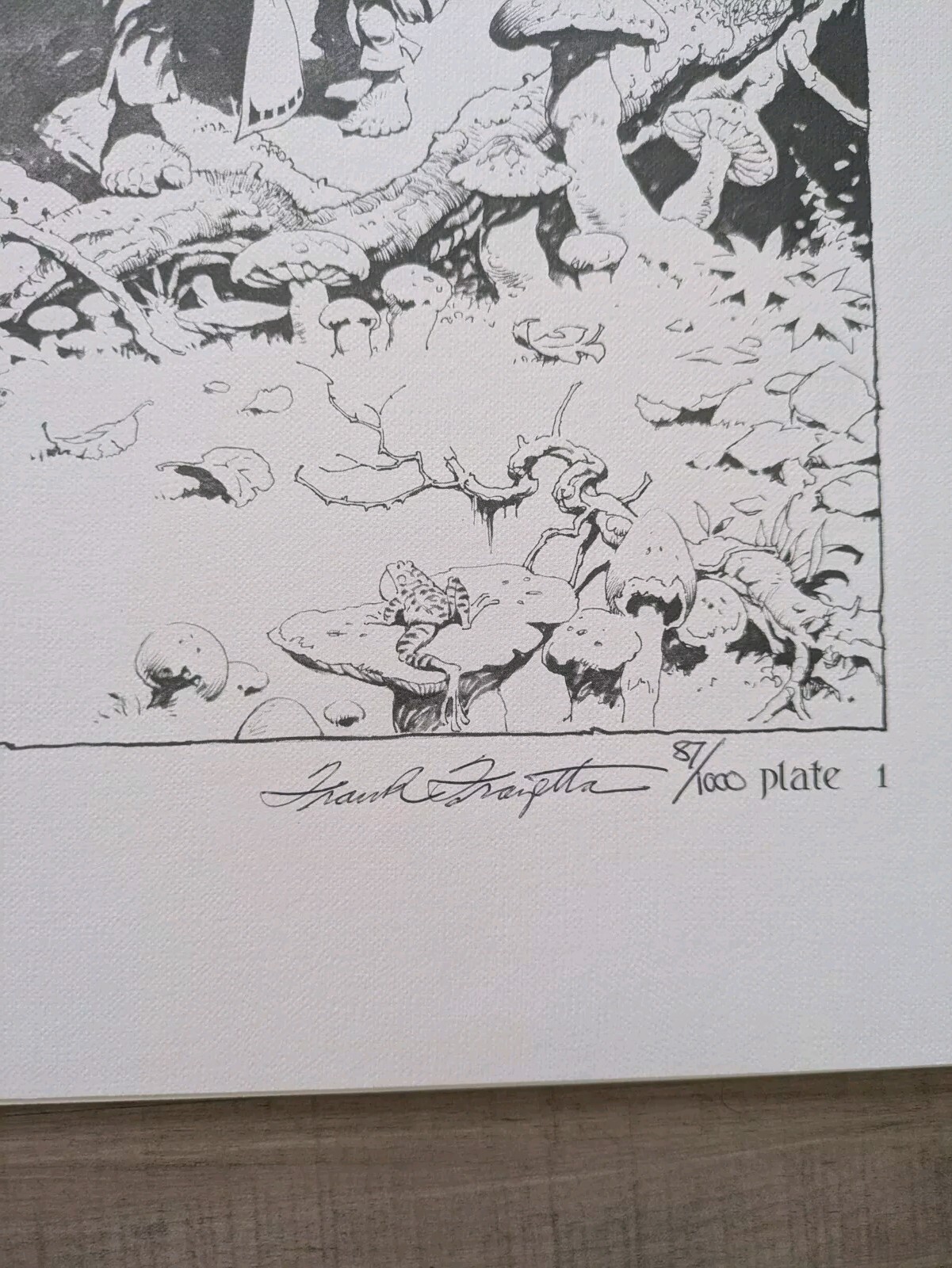 Frank Frazetta 1975 Lord of the Rings Portfolio Signed #'d 87/1000 COA ...