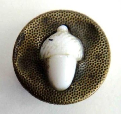 antique FIGURAL ACORN BUTTON white bakelite? on brass gold colored ...