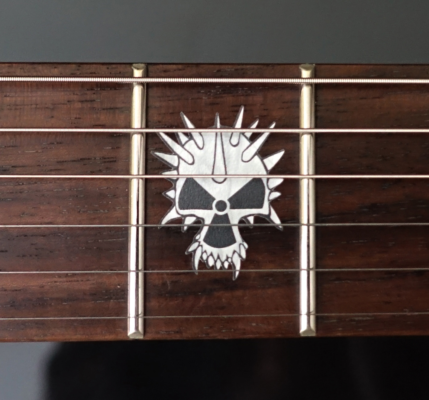 COC Corrosion of Conformity skull MOP Vinyl Decal inlay set for Guitar ...