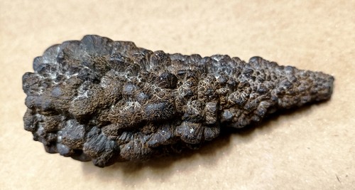 Concrétion cristallisation, probablement minéral goethite, teinte brune ...