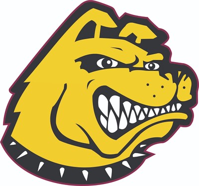 Memphis Mad Dogs CFL Full Size Football Helmet Decals | eBay