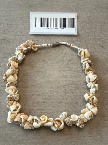 Womens Curly Spiral Conch Sea Shell Beads Beach Necklace Cream 14 ...