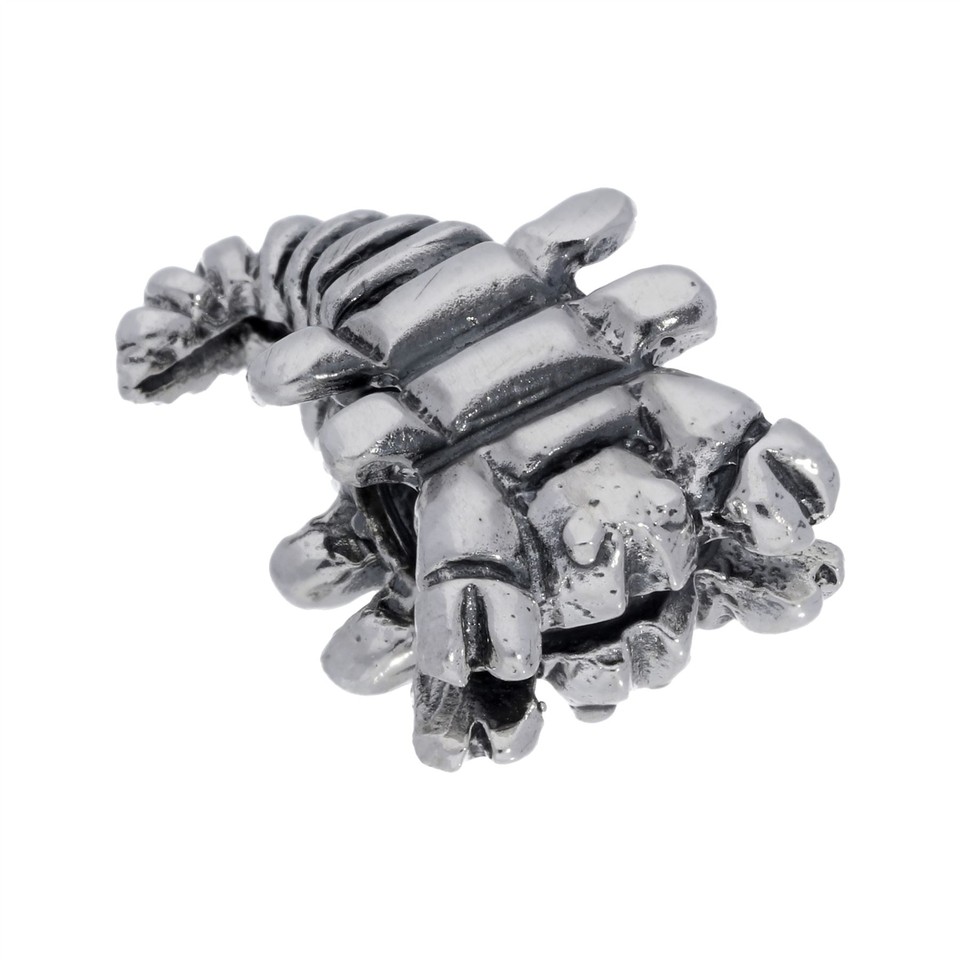 Sterling Silver Scorpion Bead Charm Scorpio Zodiac Beads Charms | eBay UK