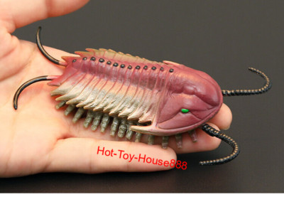 1/6 Scale Simulation Trilobite Model for 12'' Figure Scene Props ...