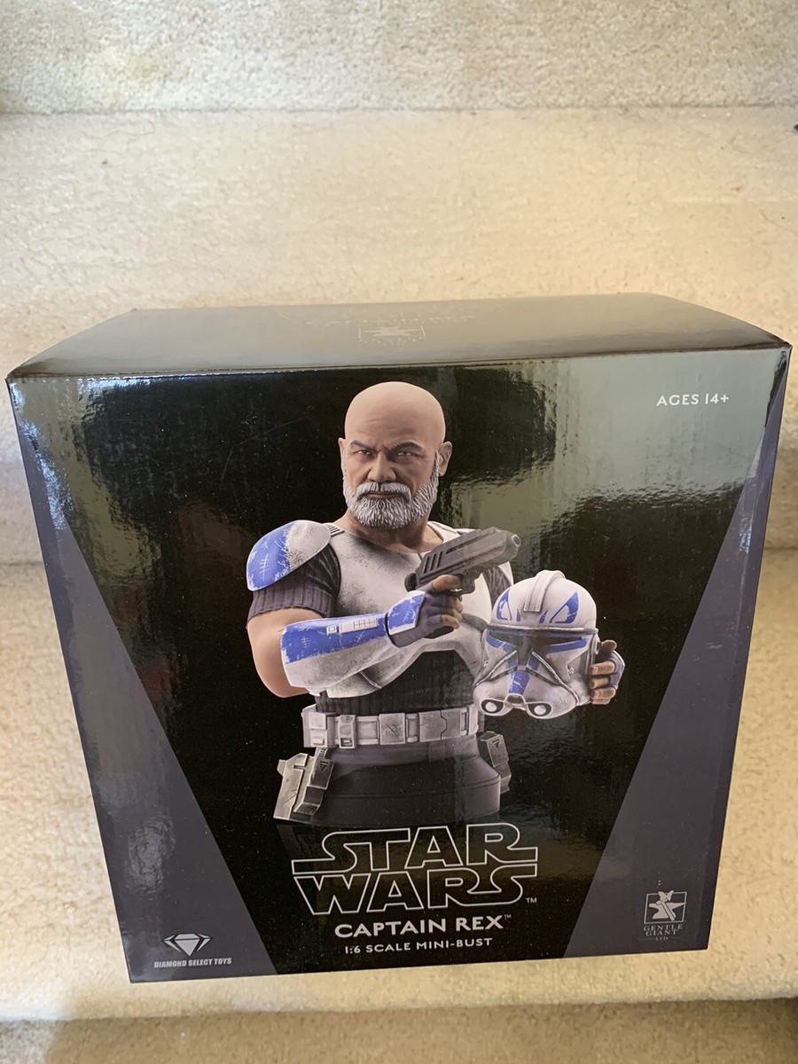 Star Wars Rebels Captain Rex LEGO Old Captain Rex Custom Minifigure