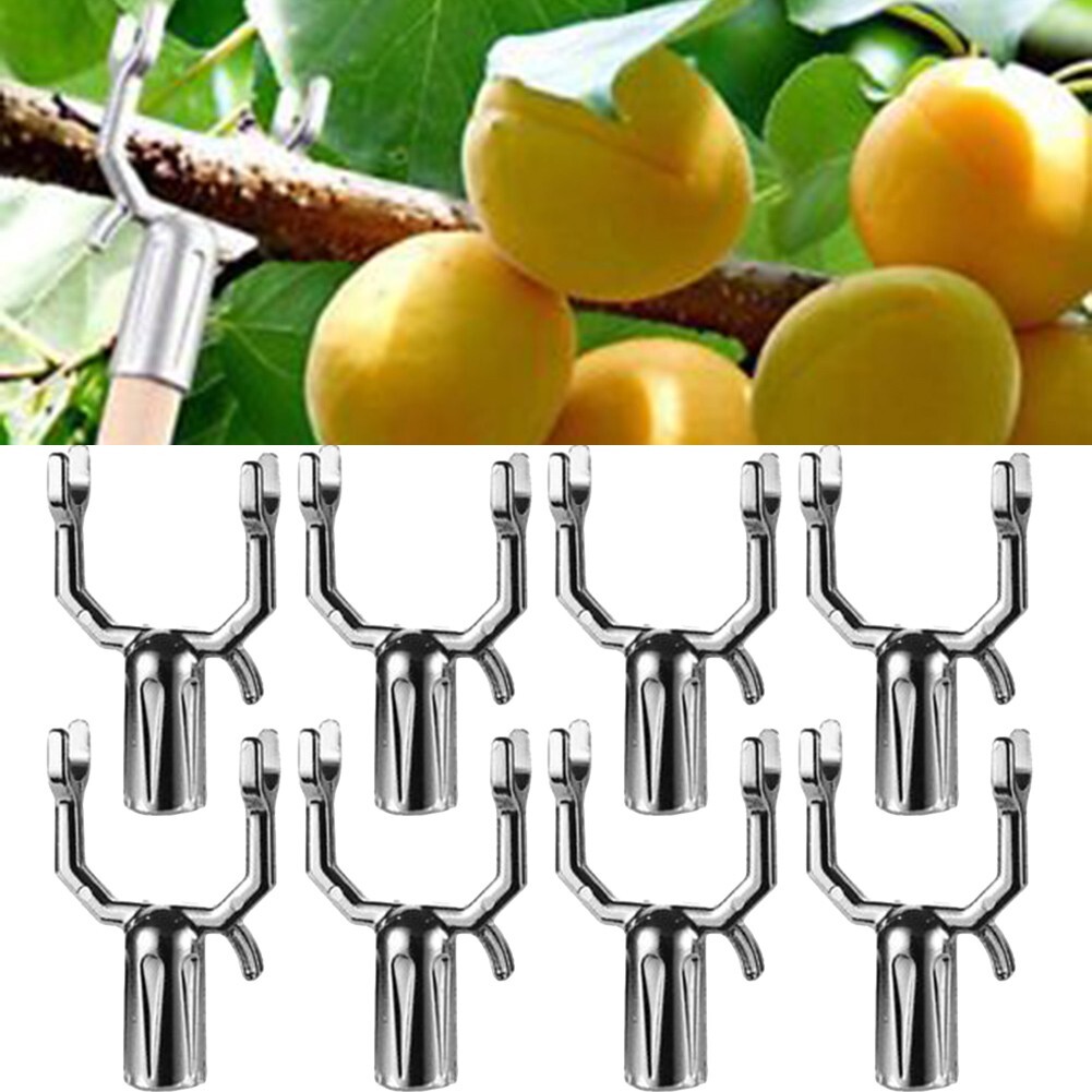 Branch Support Easy To Install Fruit Tree Branch Crutch It Is Safe ...
