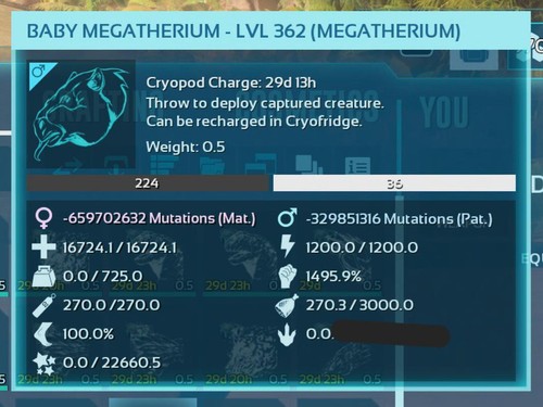 ARK ASCENDED PVE OFFICIAL PAIR BABY MEGATHERIUM OREO HIGH STATUS MELEE ...