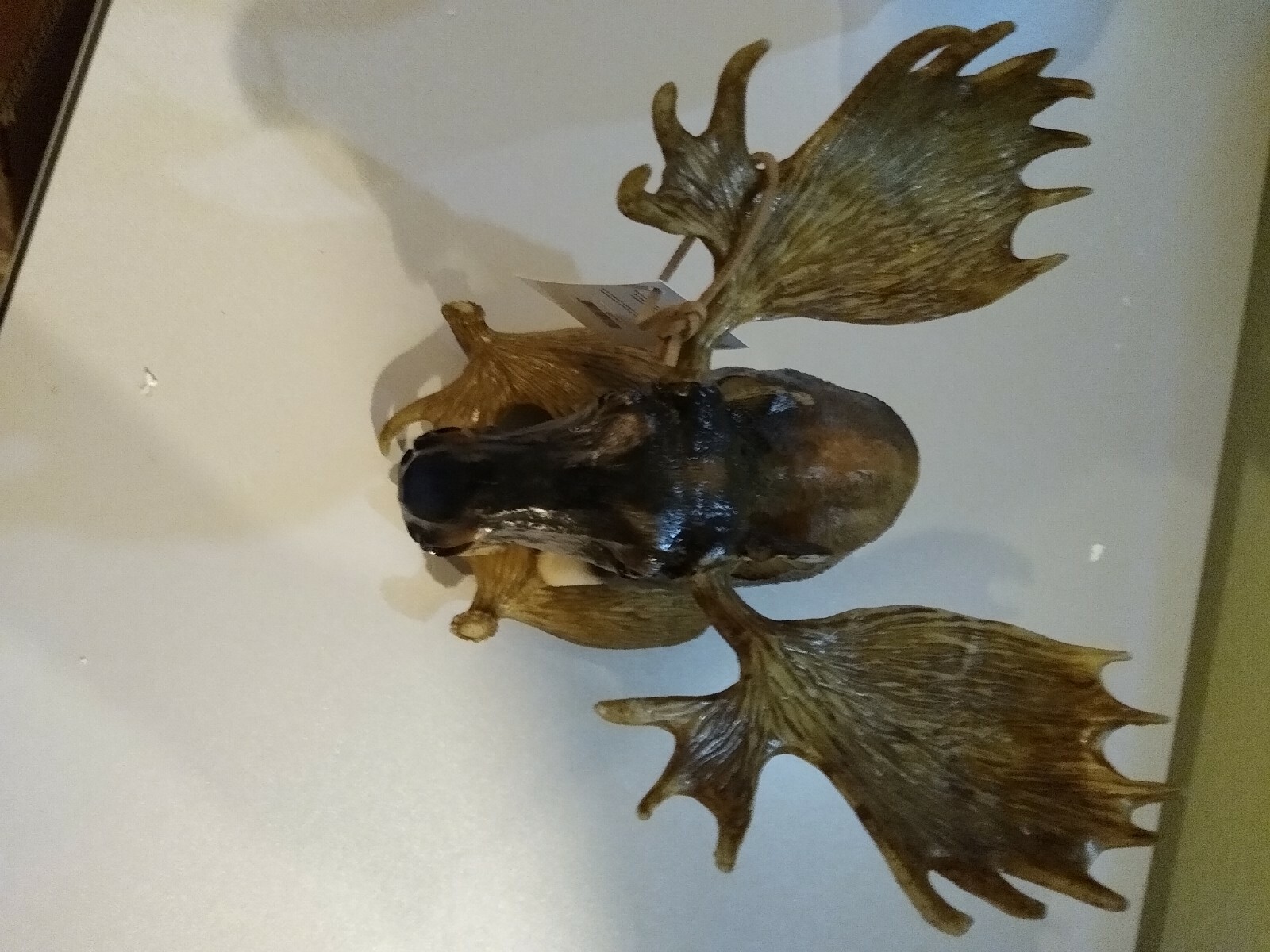 Buckhorn Pine Tree Topper Moose Figurine Or Christmas Tree Topper ...