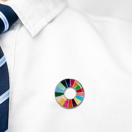 Sustainable Development Goals Brooch Cute Enamel Pin United Nations ...